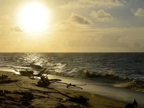 7 mejores playas de Surinam | ViajeroCasual©